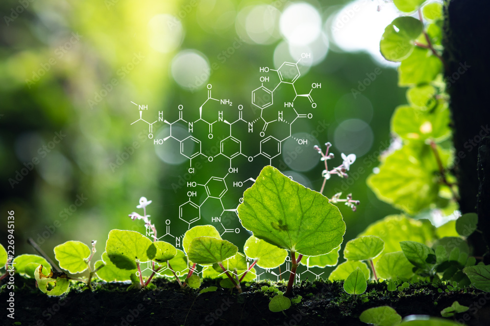 Plants background with biochemistry structure. Stock Photo | Adobe Stock