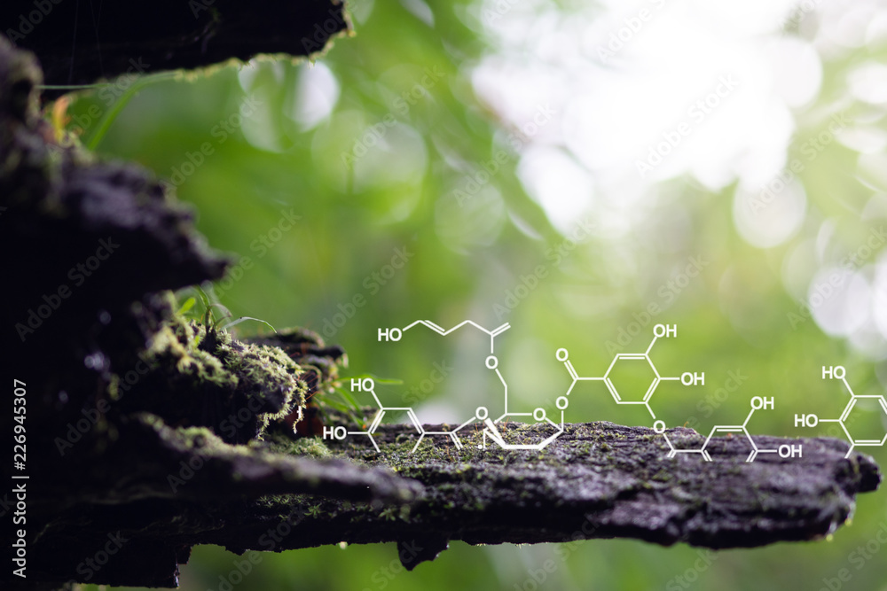 Plants background with biochemistry structure. Stock Photo | Adobe Stock