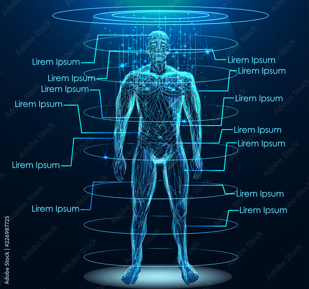 Human body low poly wireframe. Human body low poly wireframe. Low poly ...
