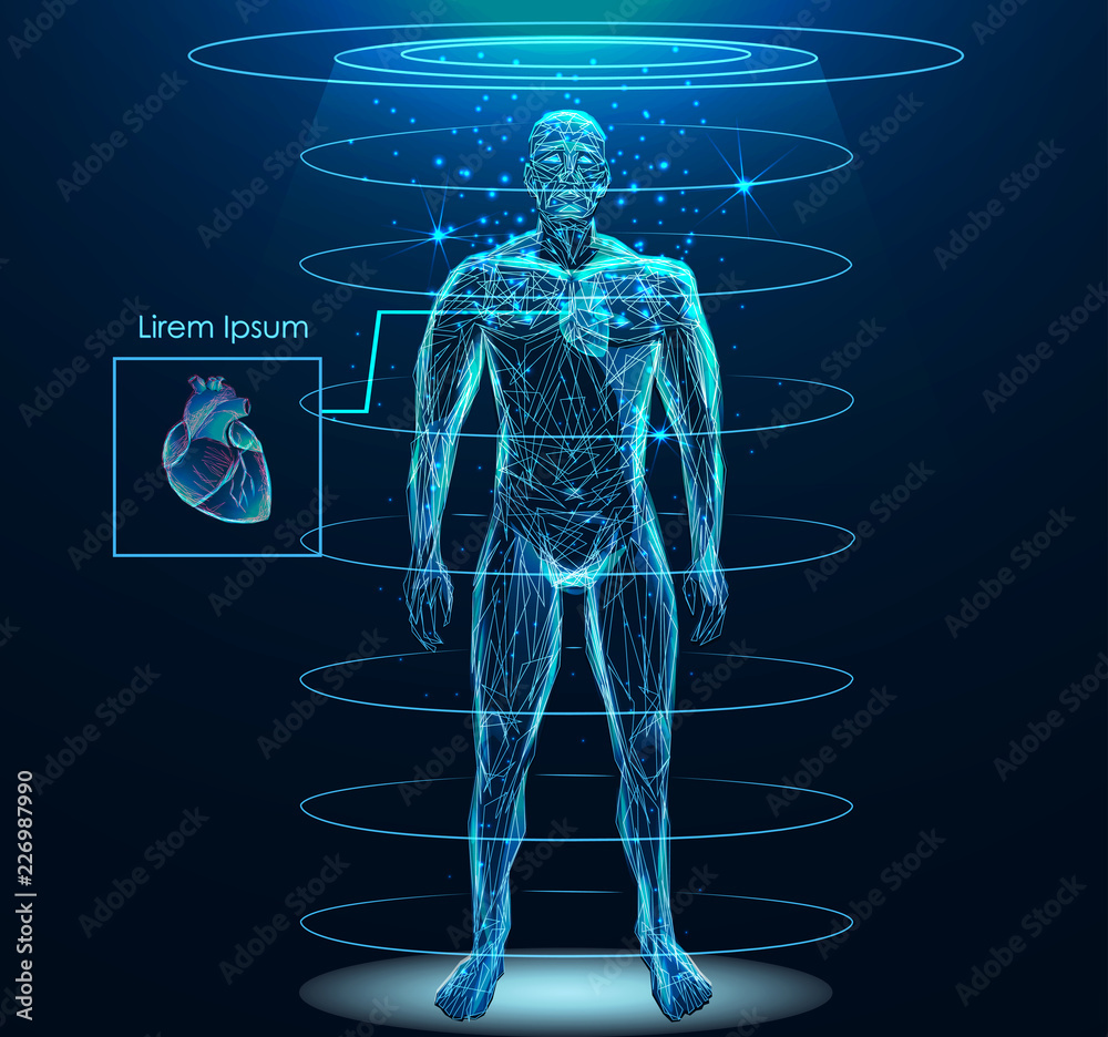 Vecteur Stock Human body with Human heart low poly wireframe. Human ...