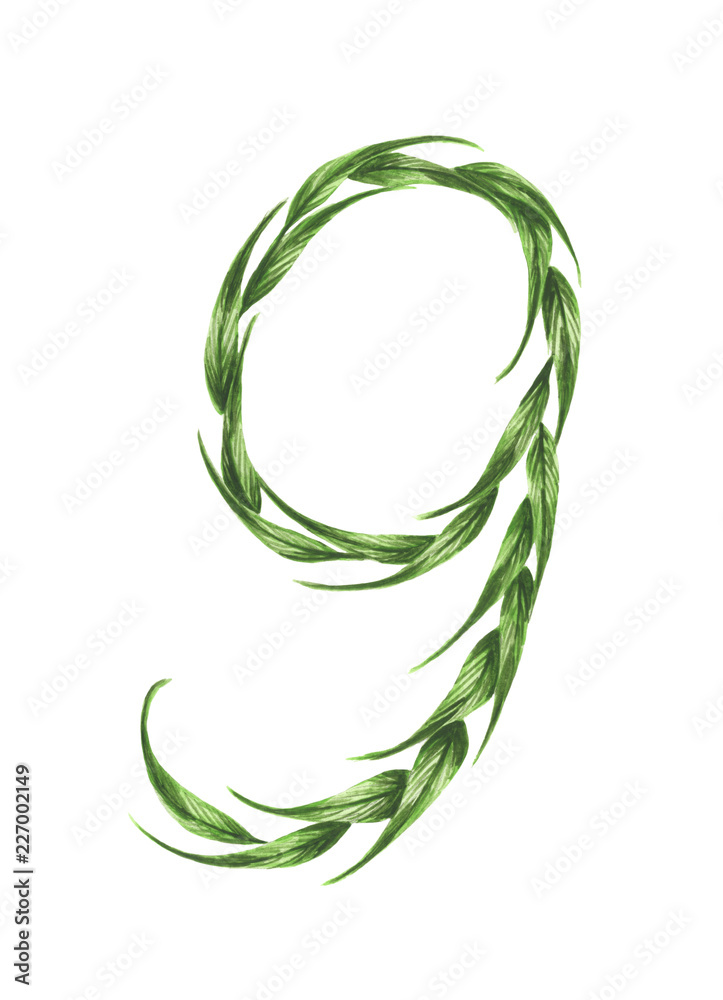 Number 9, alphabet of green leaves, Numbers from leaves isolated on ...