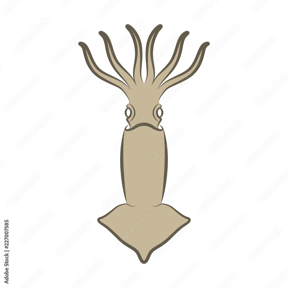 Sign squid. Symbol squid Isolated on white background. Logo squid ...