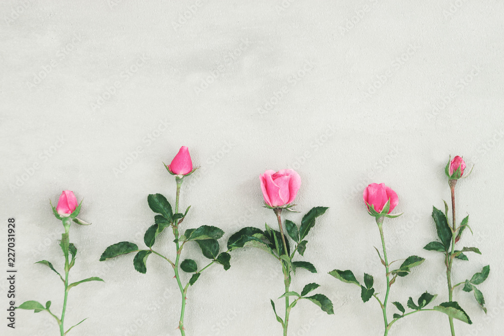 Twitter Backgrounds Flower Photography