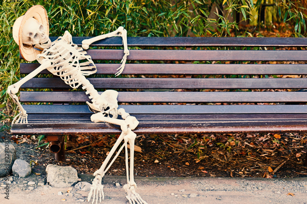 Skeleton on a bench in park, Halloween concept, copy space Stock Photo ...