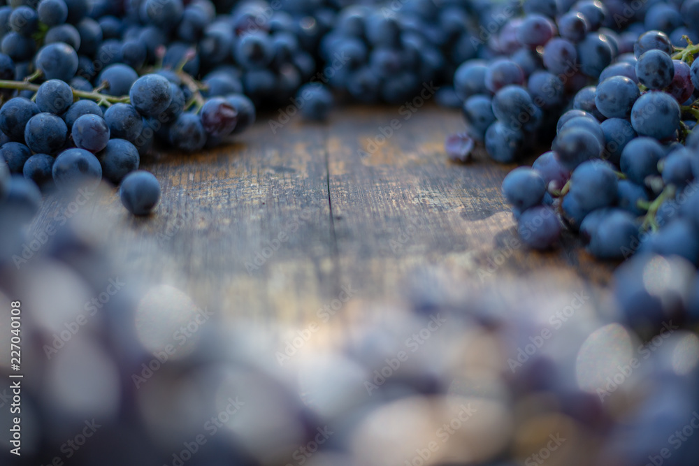 Winery brand logo background. Blue grapes on the top of wine barrel ...