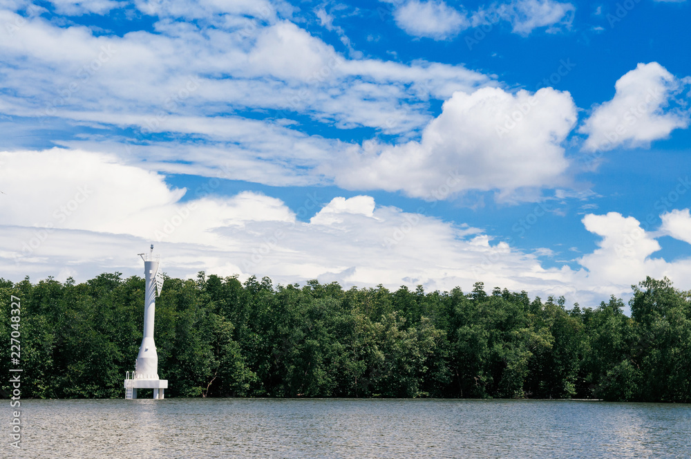 Skyscape blue summer sky with white clouds and tropical mangrove forest ...