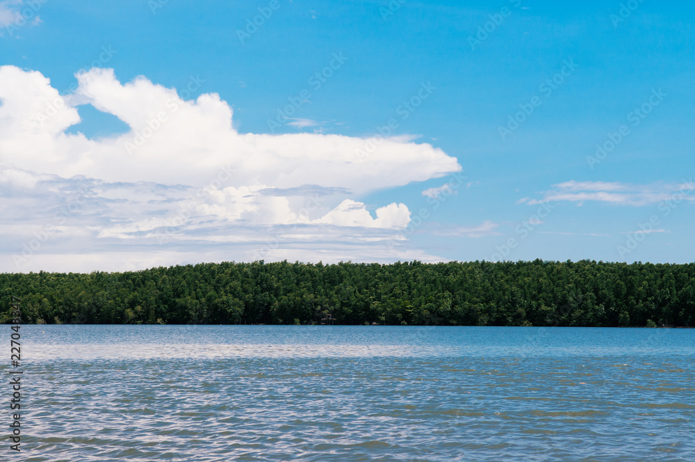 Skyscape blue summer sky with white clouds and tropical mangrove forest ...