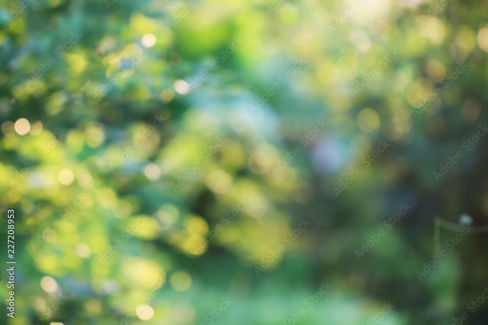 Bokeh of Tree Leaves for nature background and save green concept,soft ...