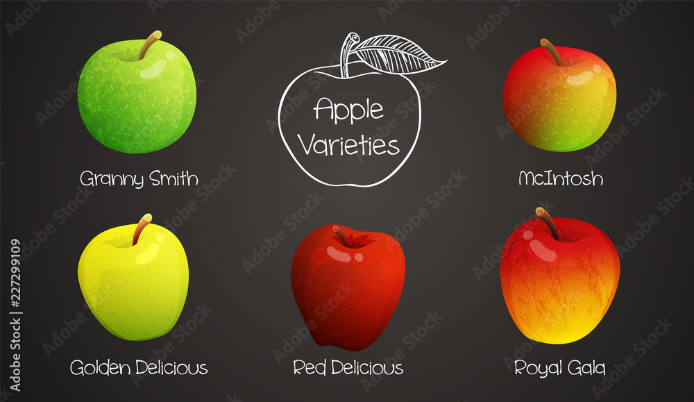Types Of Apples List