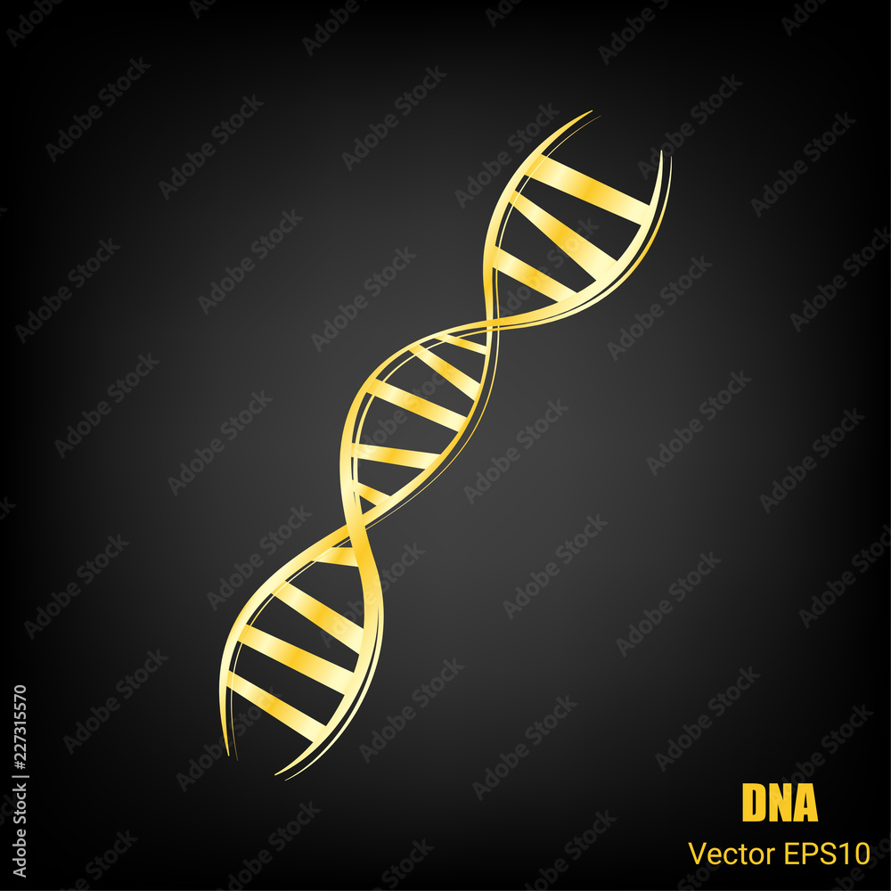 Dna Vector Illustrator