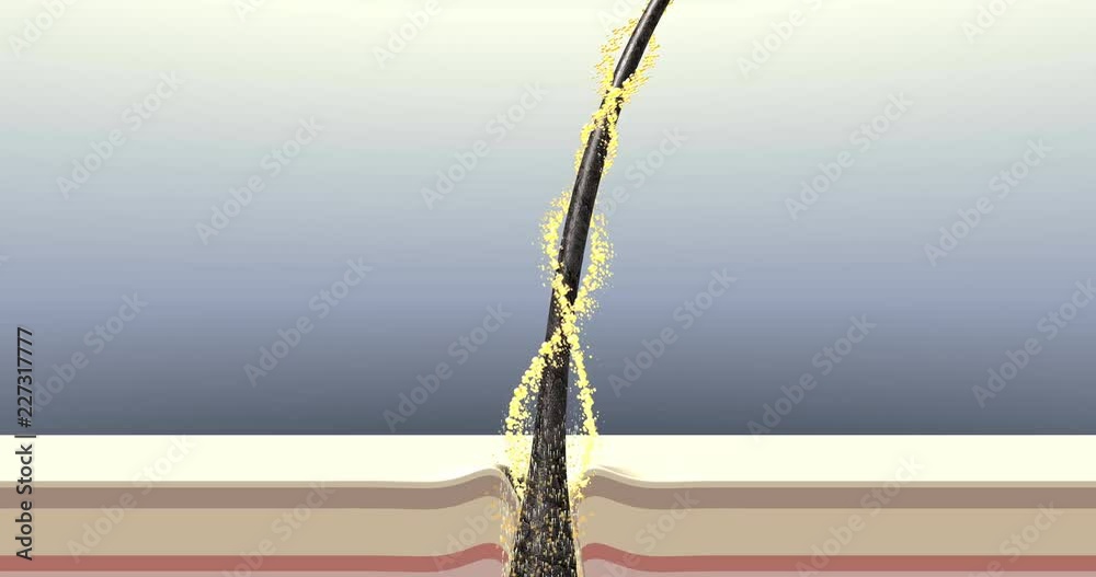 Hair care products action. 3d model of beautiful long brown hair ...