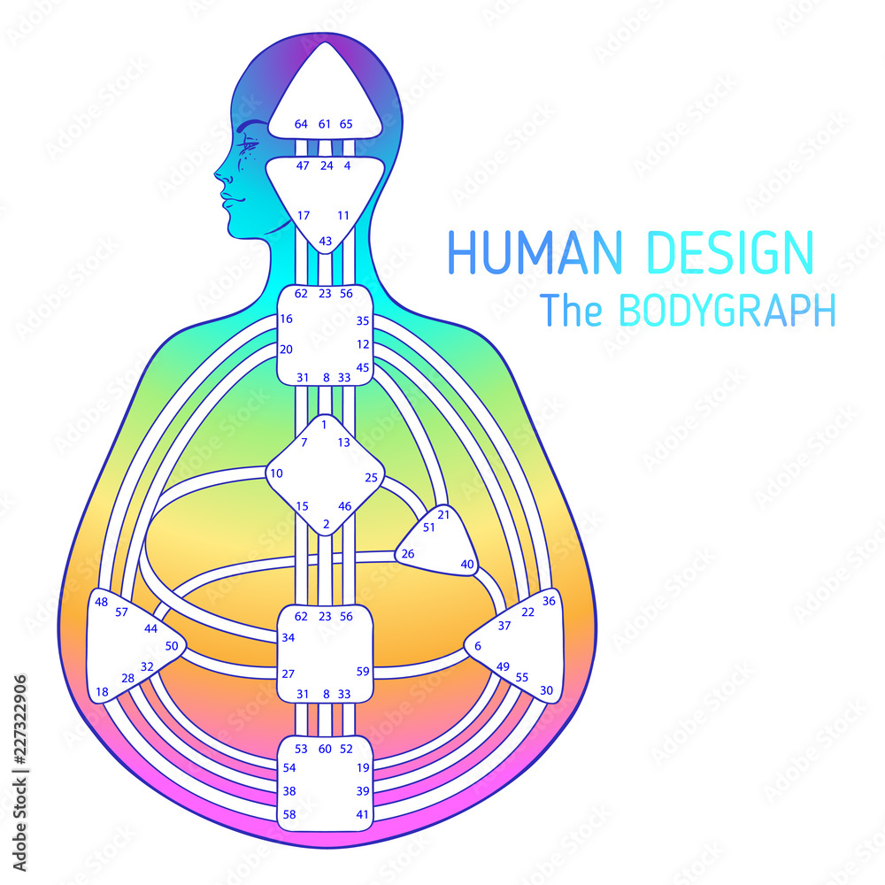 Human design bodygraph chart design. Vector isolated illustration ...