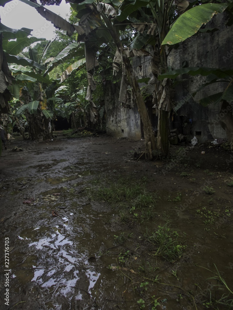 Remains of a World War II Japanese military command centre on Eten ...