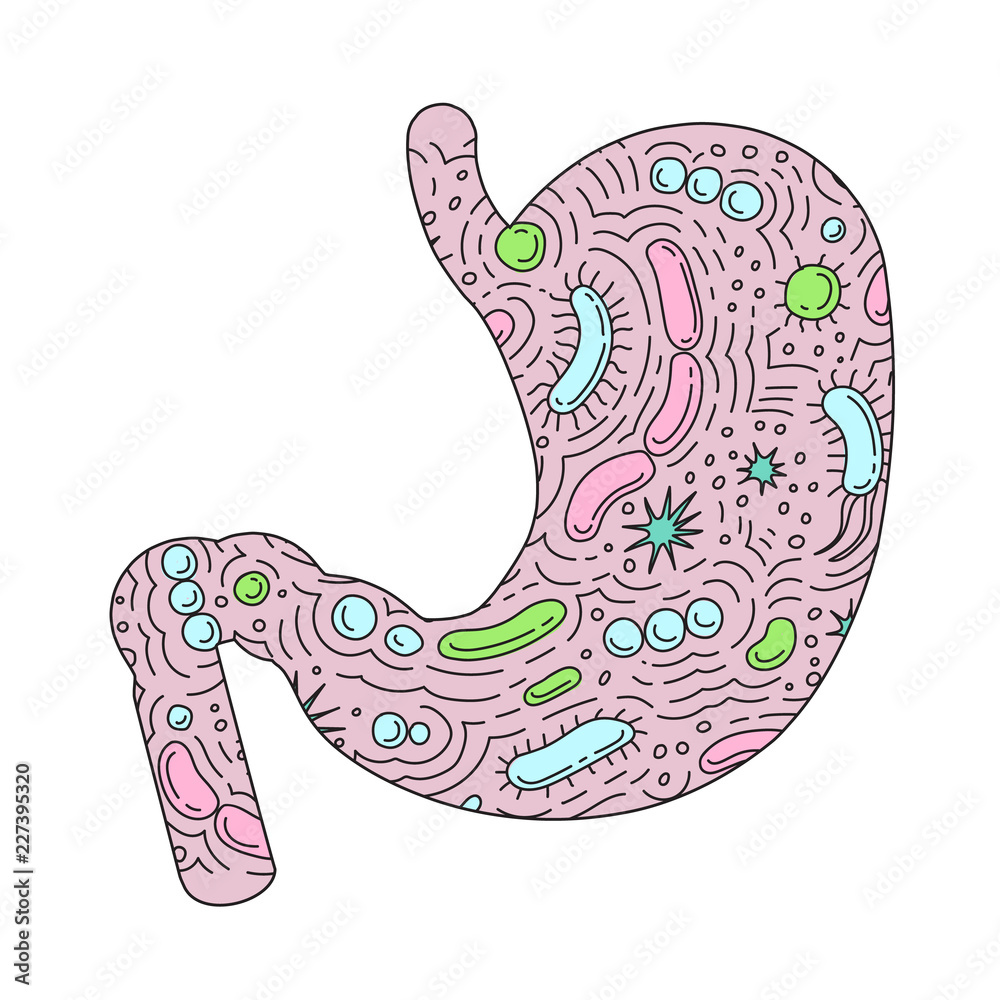 Probiotics vector illustration doodles. Drawing of bacteria ...