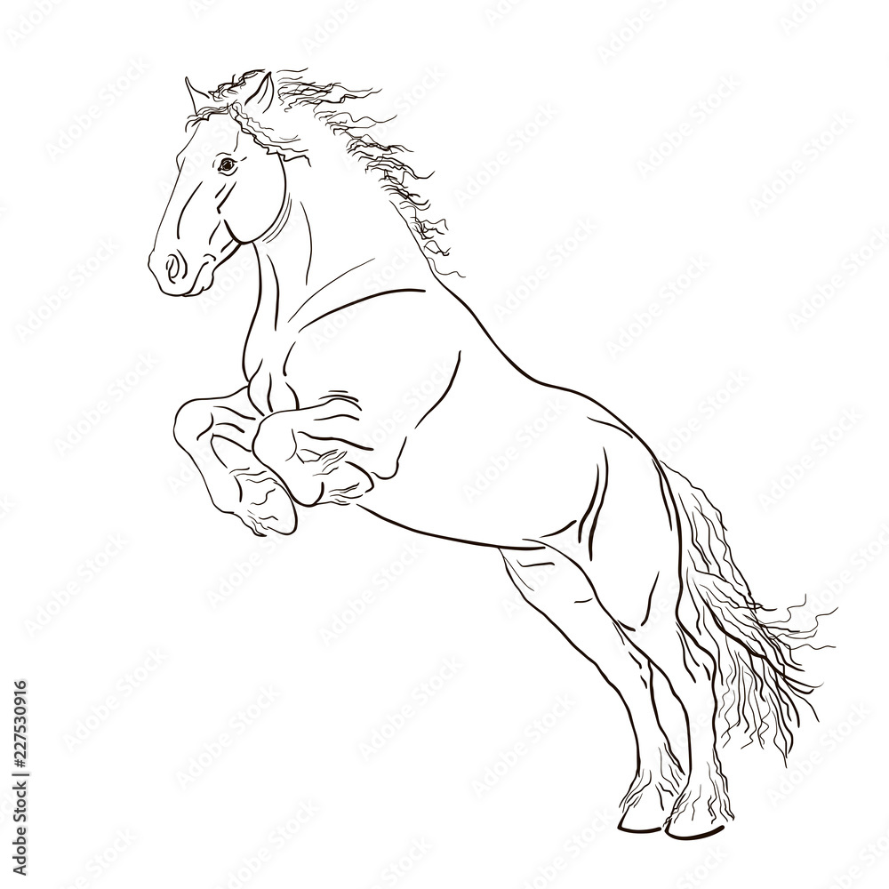 Horse Jumping Sketches