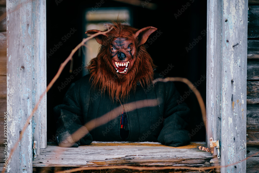Unknown person with creepy horrible werewolf mask looking out from old ...