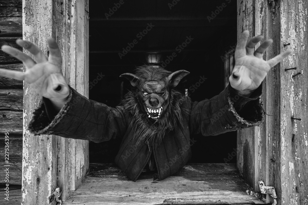 Unknown person with creepy horrible werewolf mask looking out from old ...