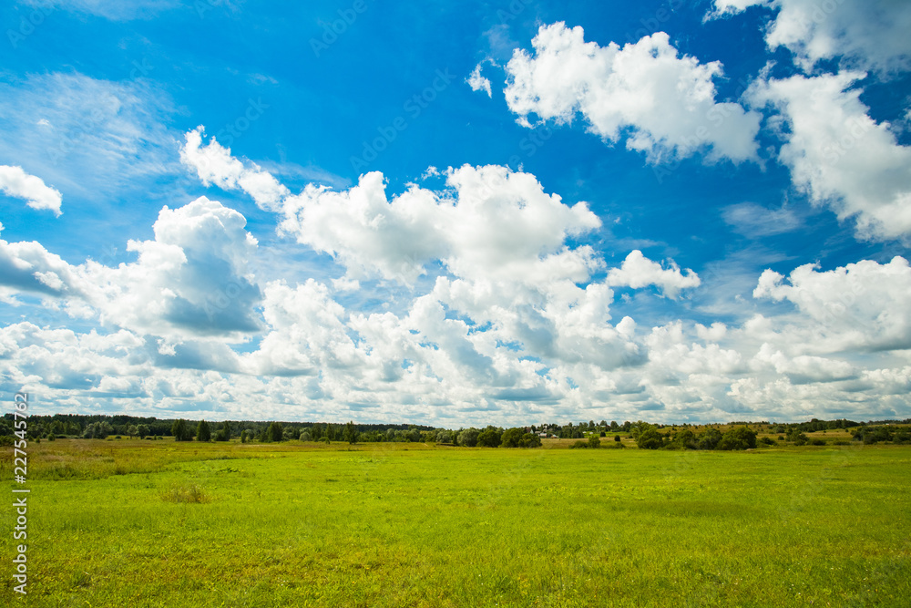 Clear Blue Sky Landscape
