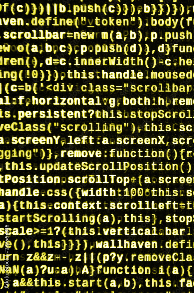 Javascript functions, variables, objects. Monitor closeup of function source code. IT specialist ...
