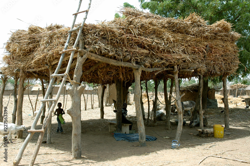 Case à palabres (toguna), réserve de paille sur le toit, échelle en ...