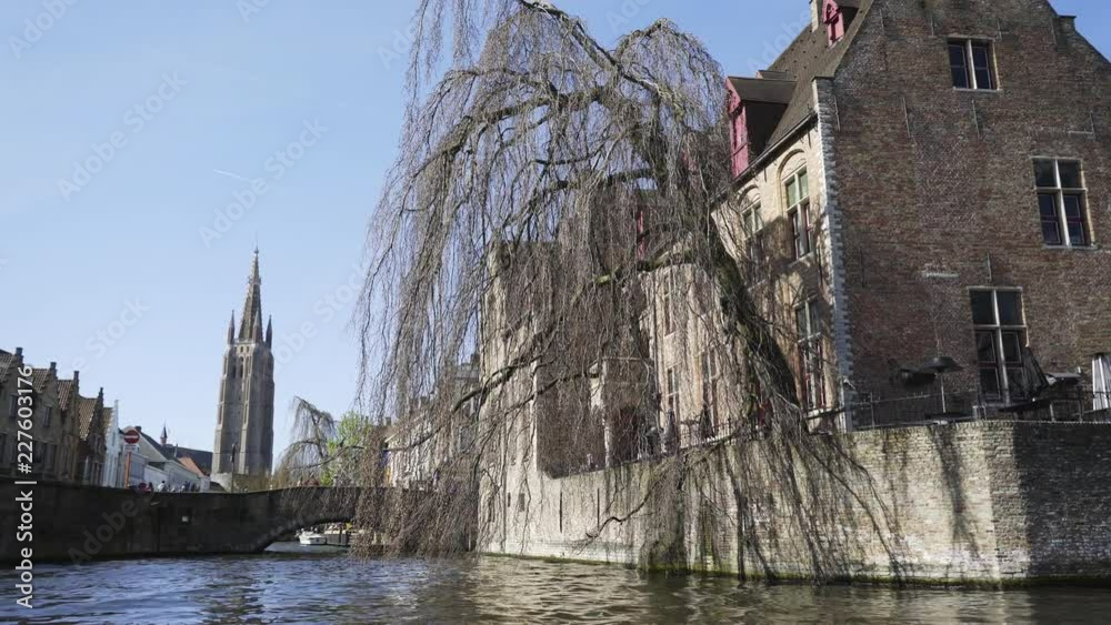 Canal view with traditional dutch building on both sides. Big tree over ...