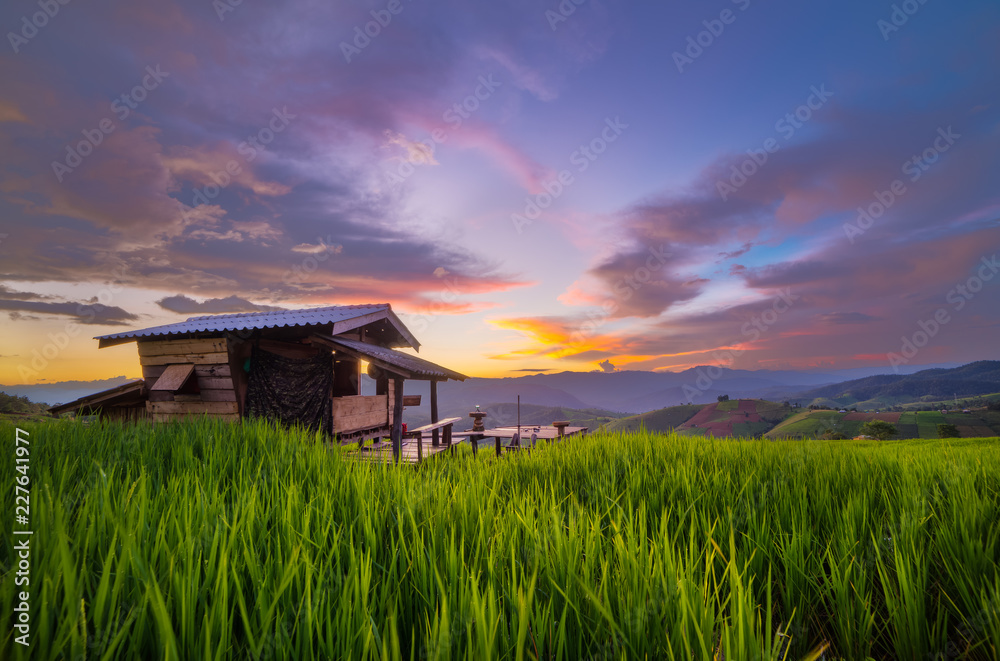 Small house and rice terraces field at pabongpaing village rice ...