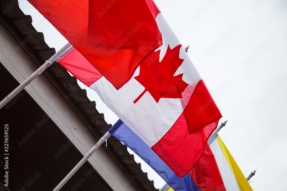 Nation Flag of Canada, Canadian Flag or the Maple Leaf background ...