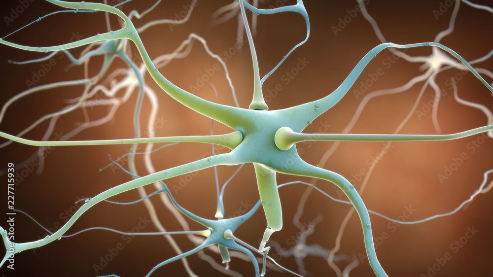 Neurons 3d