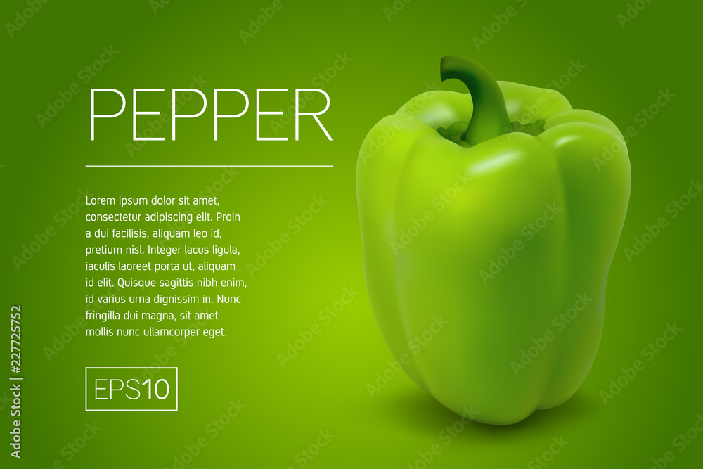 Minimalistic banner with a realistic pepper on a green background. 3D ...