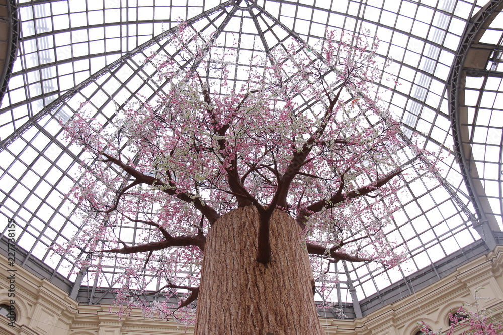 glass, roof, architecture, building, tree, pattern, sky, dome, abstract ...