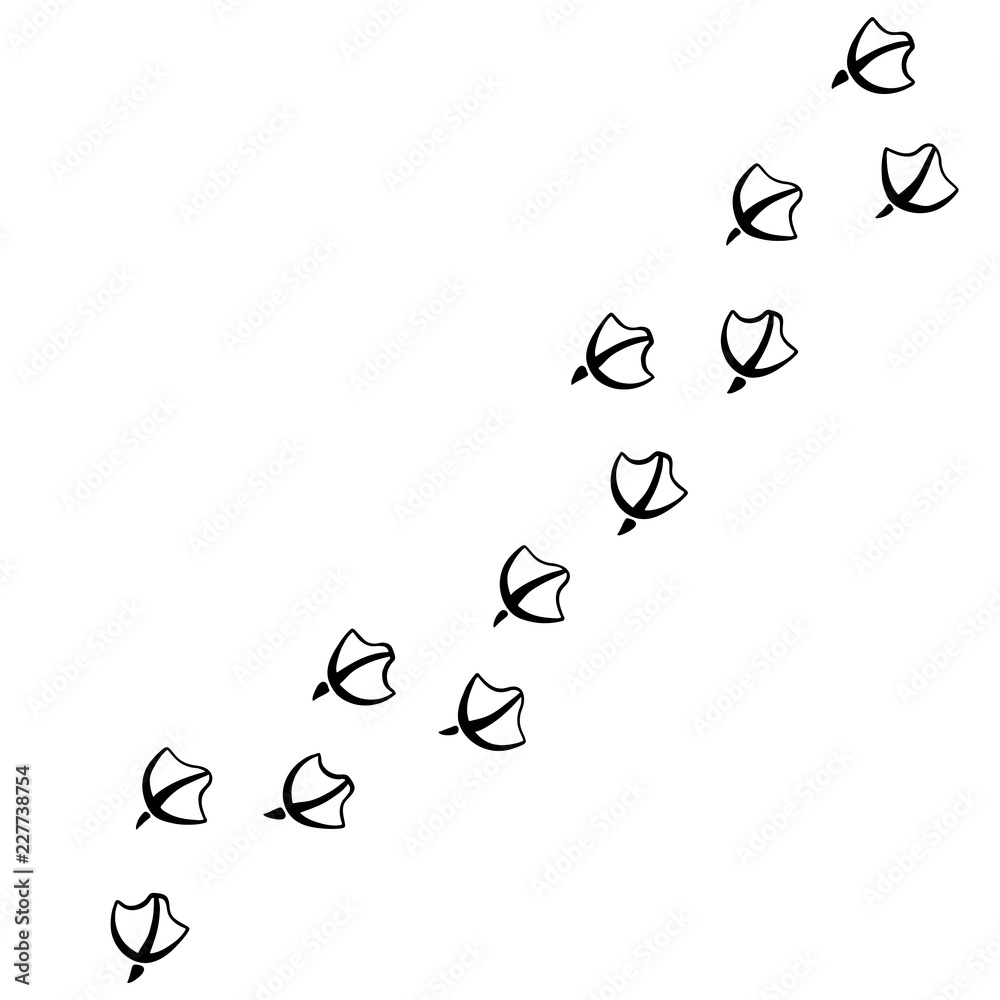 Duck foot prints. Vector illustration. Bird footprint Stock Vector ...