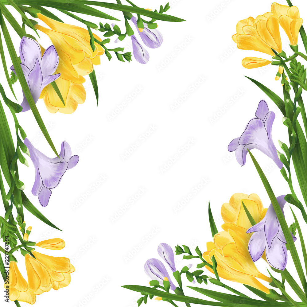 Colorful composition with freesia flowers and buds. Frame or border on ...