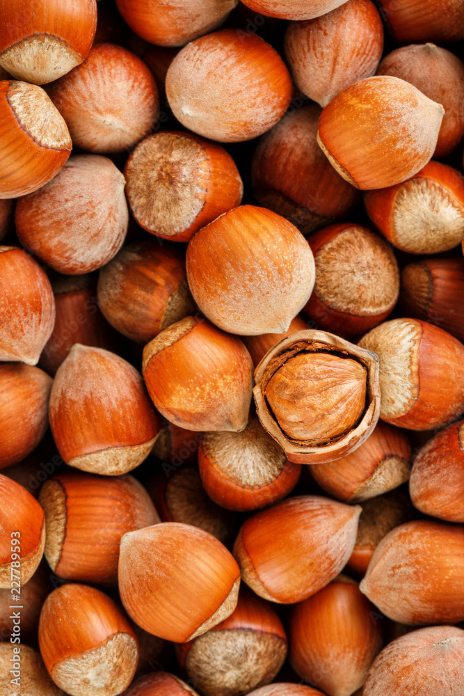 Hazelnuts. Stack of hazelnuts. Food background. Hazelnut background ...