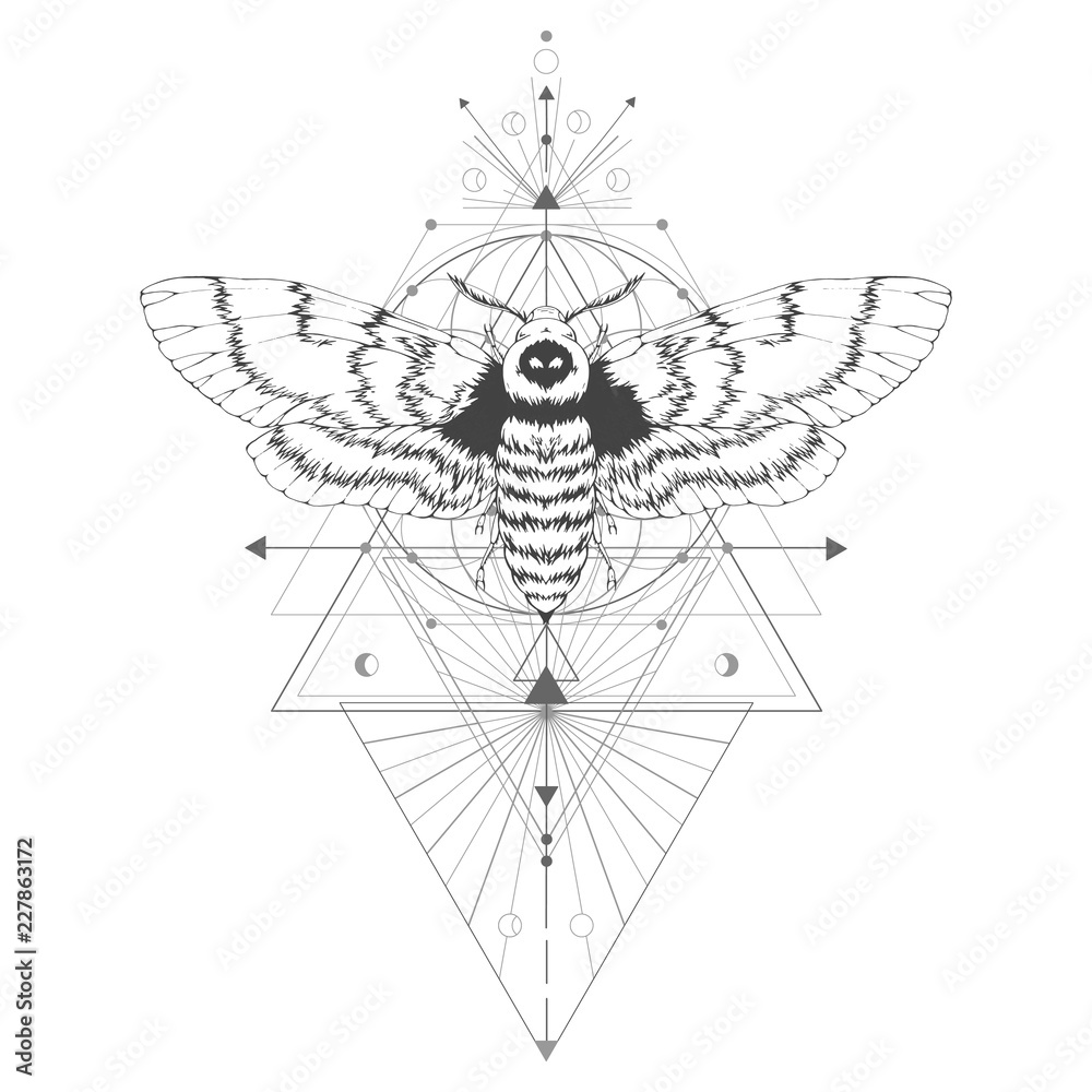 Vector illustration with hand drawn dead head moth and Sacred geometric ...