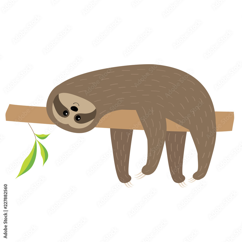 Sloth lying on tree branch. Cute cartoon character. Fluffy fur. Wild ...