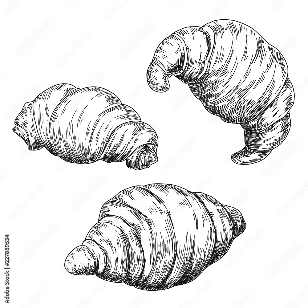 Sketch ink graphic croissant set illustration, draft silhouette drawing ...