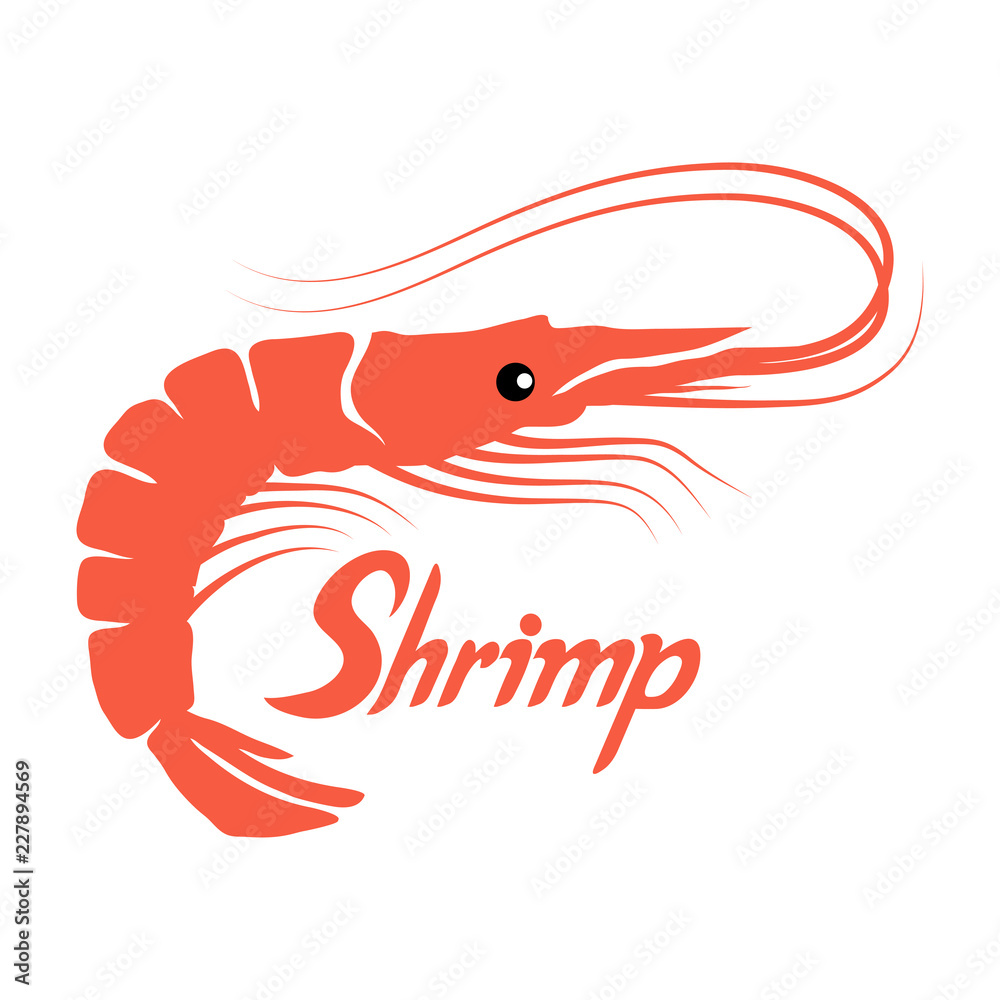 shrimp isolated on white background, hand drawn seafood, vector prawns ...