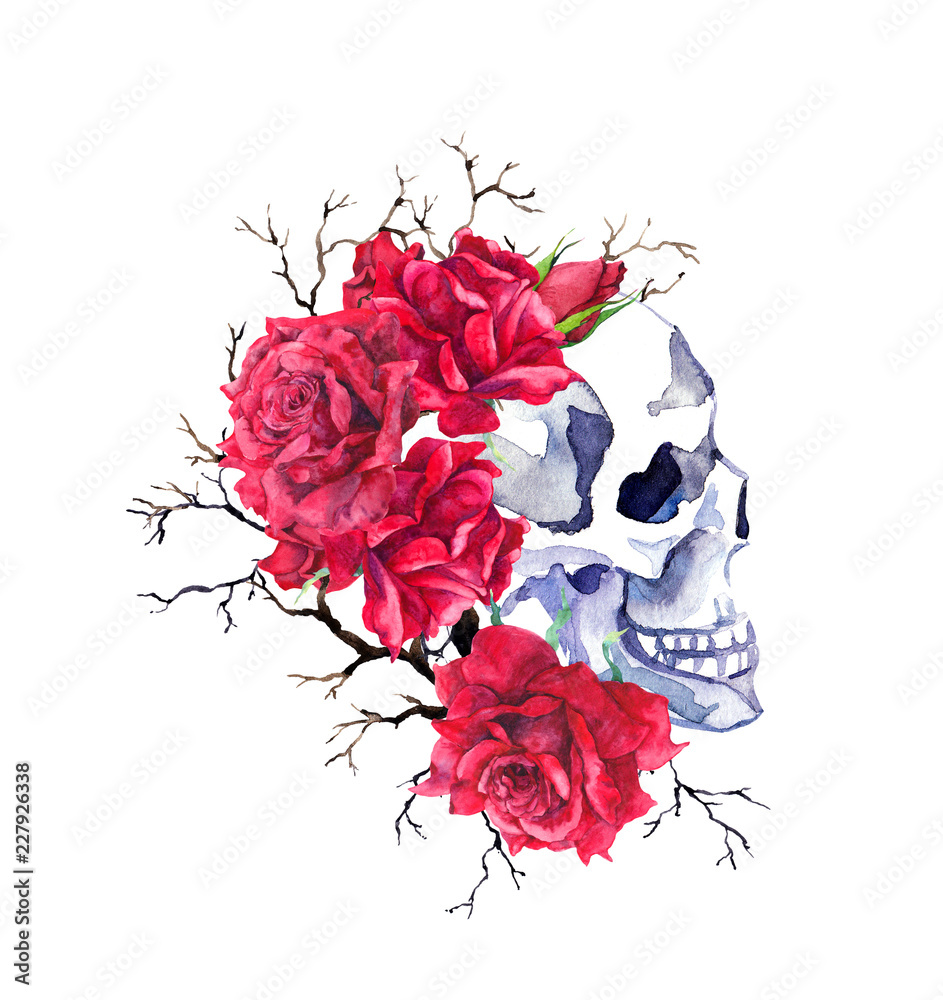 Human skull in red rose flowers, branches. Watercolor Stock ...