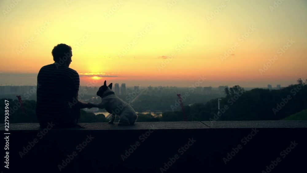 The owner and his dog to piecefully contemplate the sunset. First he ...