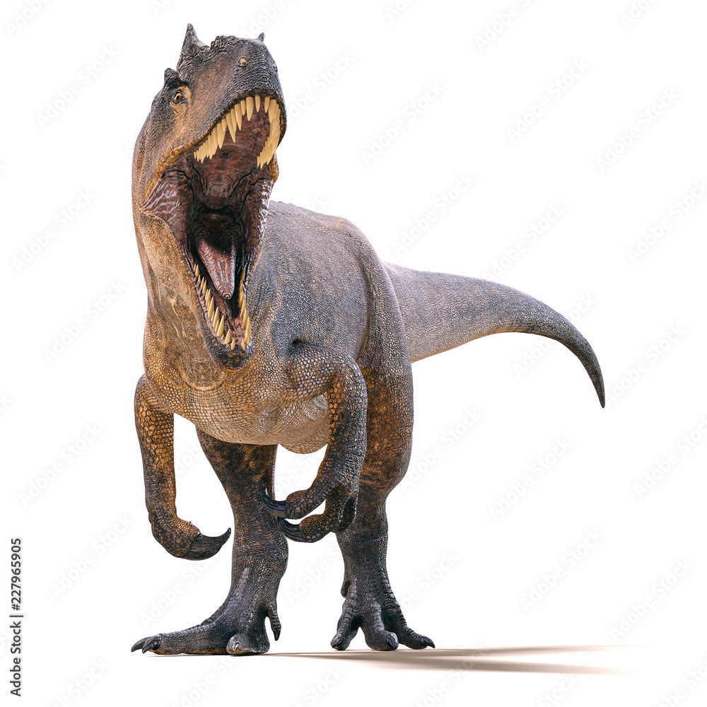3d Allosaurus render on white background Stock Illustration | Adobe Stock