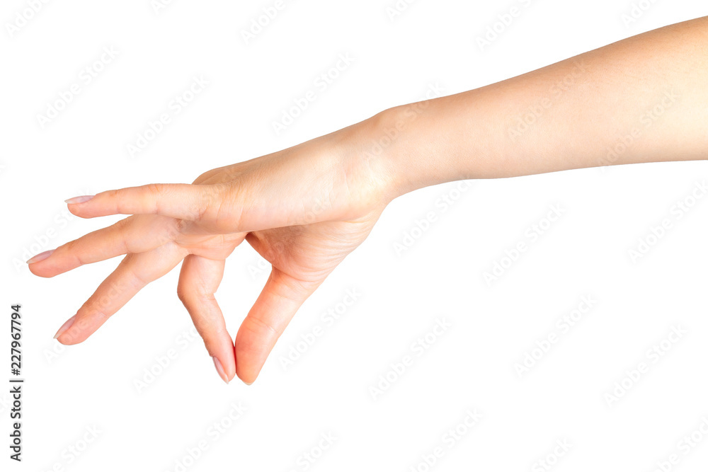 Woman hand showing picking up pose or holding Stock Photo | Adobe Stock