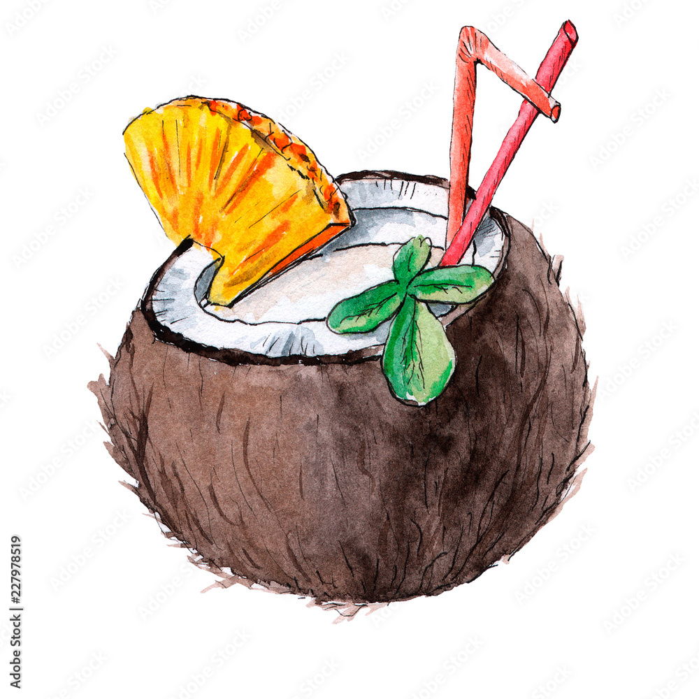 Coconut Drink Drawing
