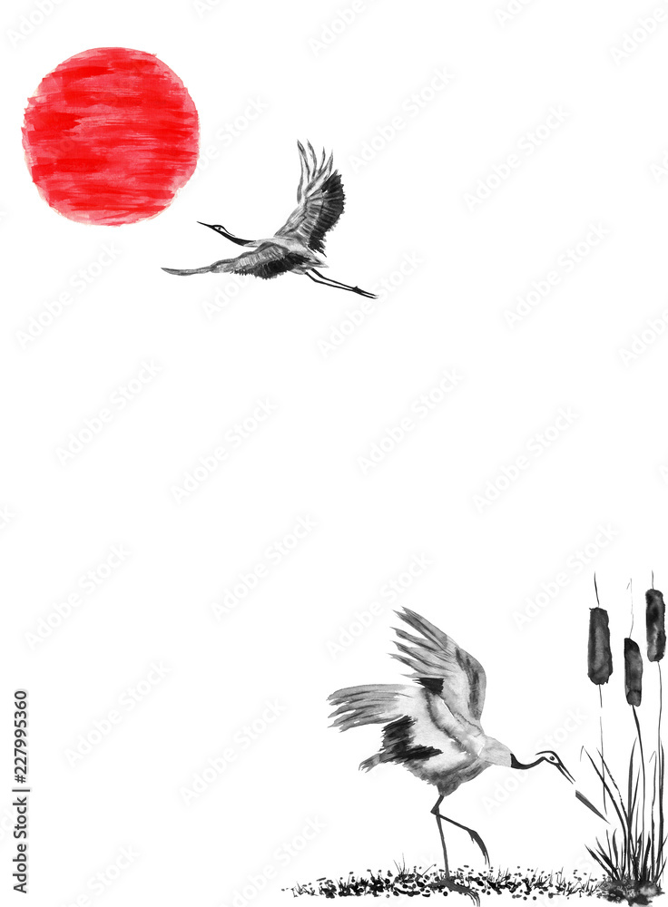 Sun Crane Sketch