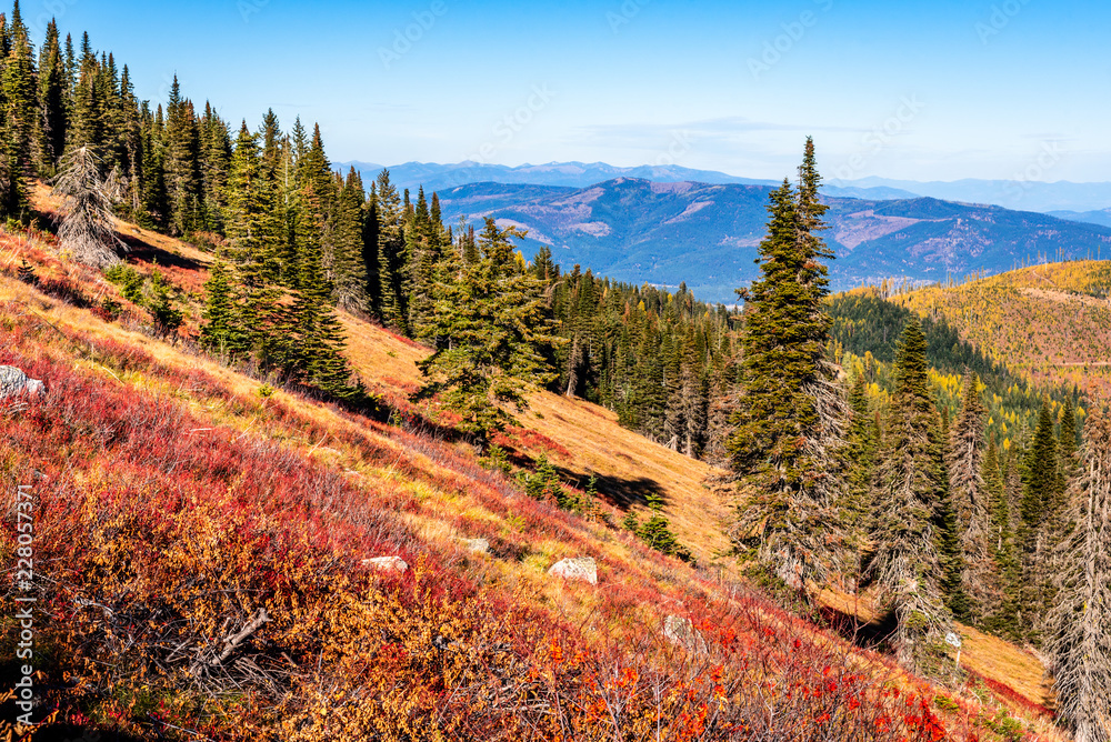 Autumn Scenery In Mount Spokane State Park, Spokane, Washington, USA ...