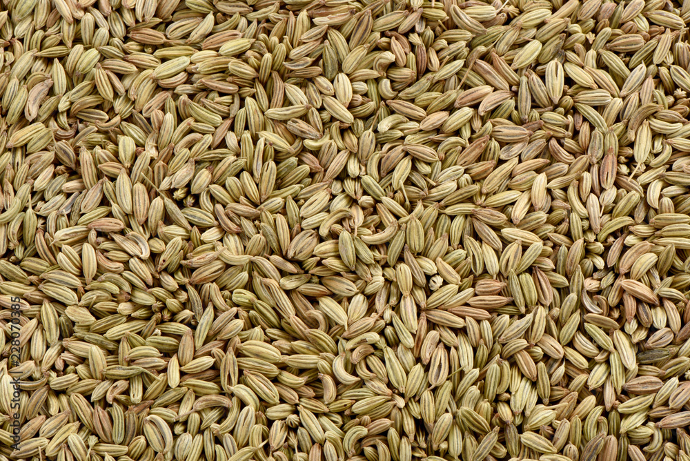 Foto de Fennel Seeds (Saunf), A hardy, perennial herb's seed famously ...