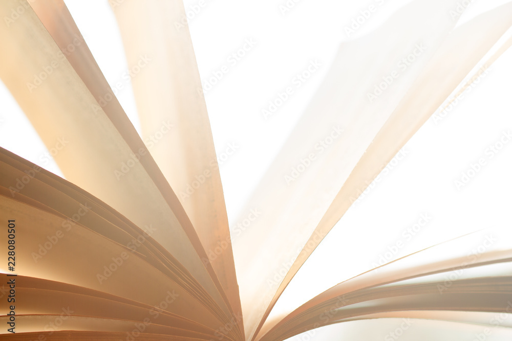 Open Book Pages Texture