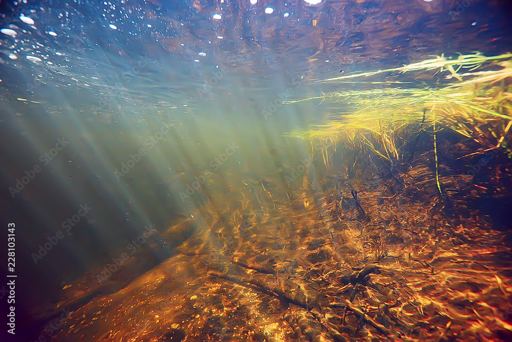 underwater photo of freshwater pond / underwater landscape with sun ...