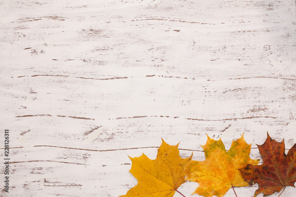 November Leaves Border