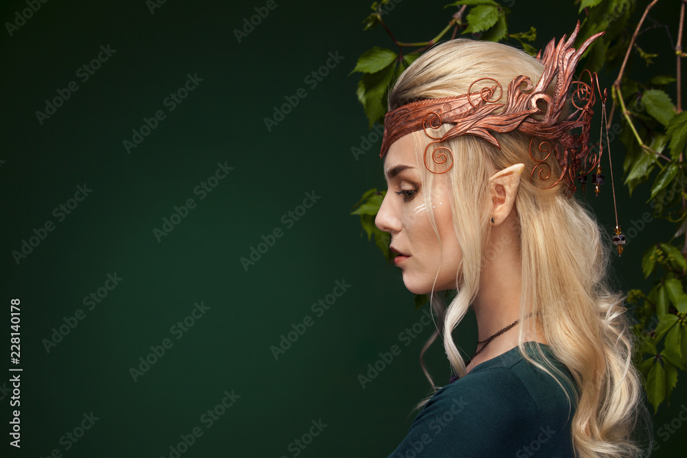 Stylish picture of a beautiful young girl elf Stock Photo | Adobe Stock