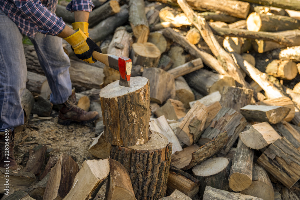 The worker is working the ax. Ax close up. An ax in a tree chopping ...